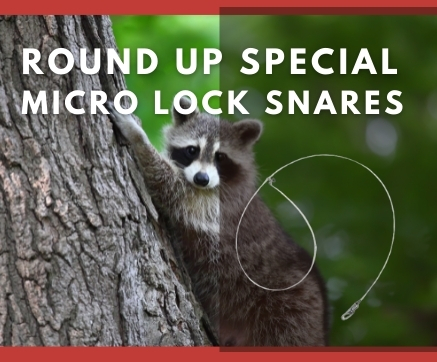 The Snare Shop - Snares, Lures, Hunting, Fishing, Archery