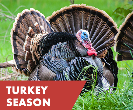 The Snare Shop - Snares, Lures, Hunting, Fishing, Archery