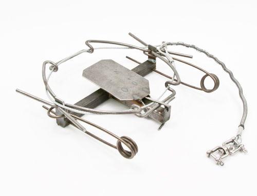 The Snare Shop - Bear