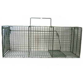 The Snare Shop - Bobcat