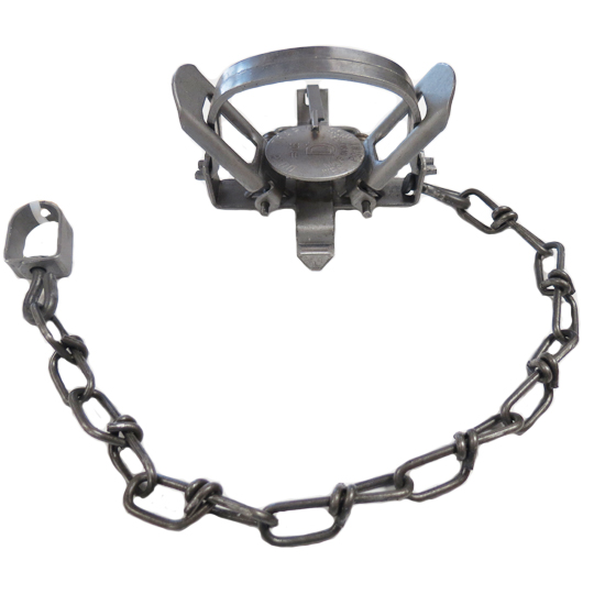 The Snare Shop - Groundhog