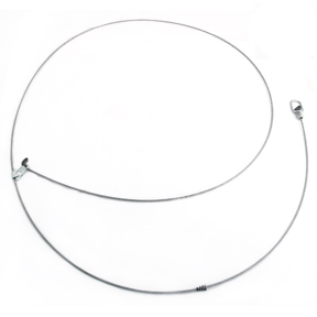 The Snare Shop - Wild Hog